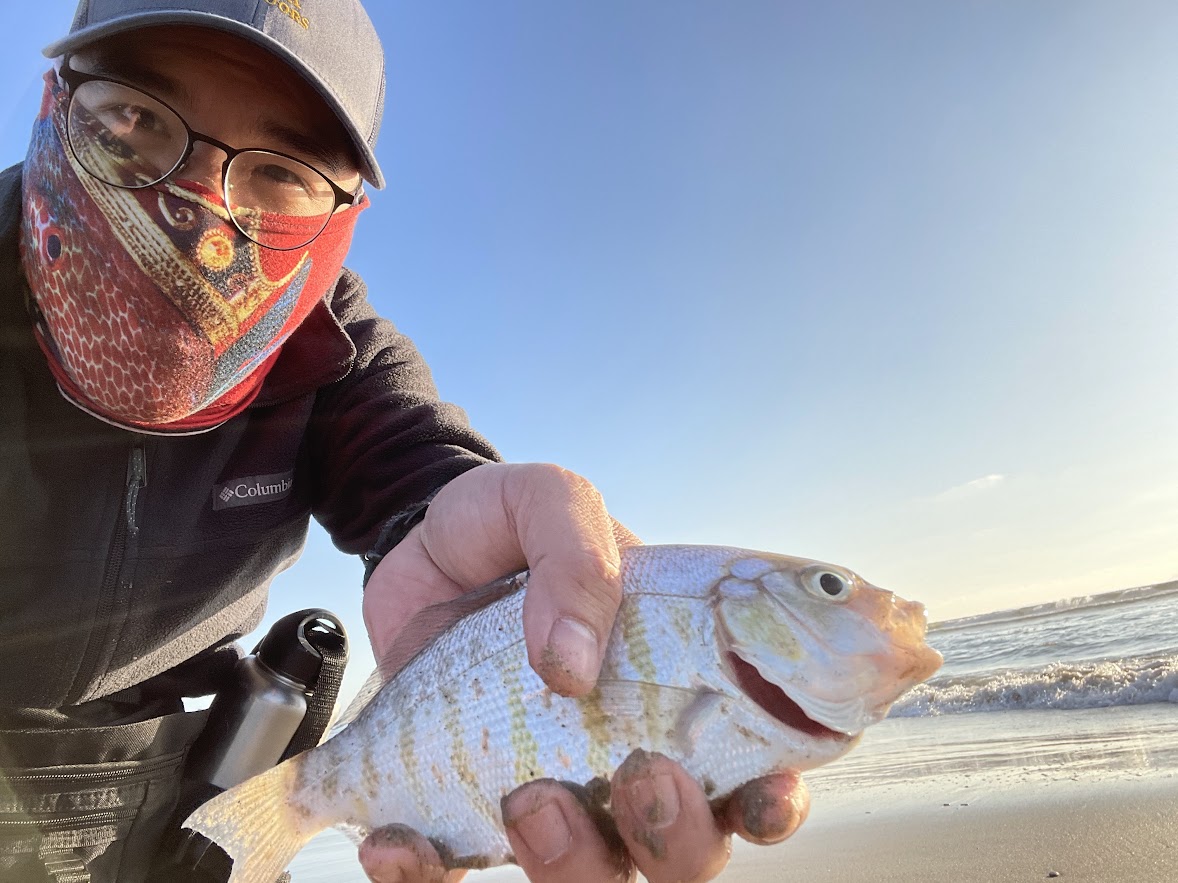 How to Fish on the Beach - Plan Bait