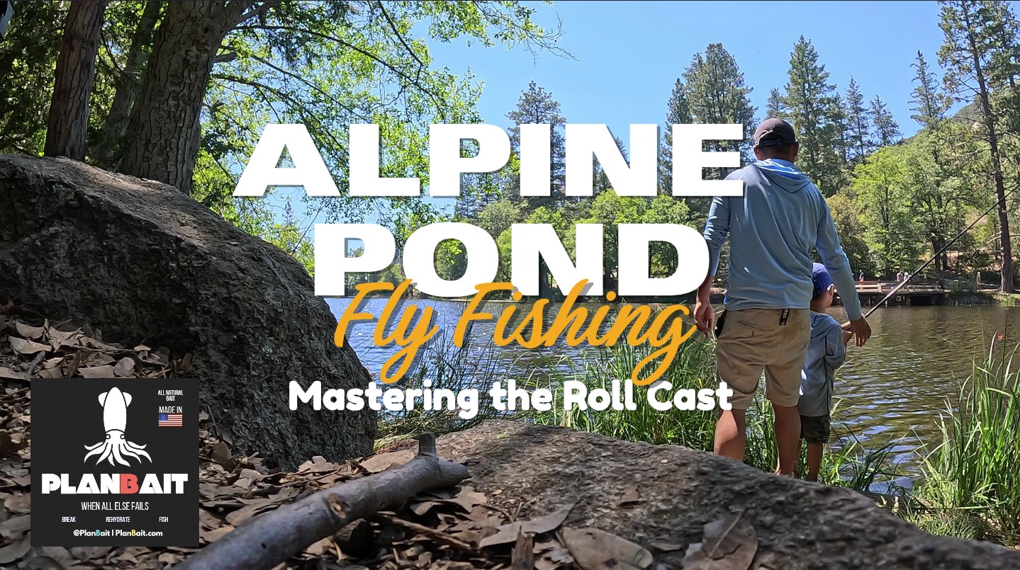 Alpine Pond Fly Fishing: How to Master the Roll Cast - Plan Bait